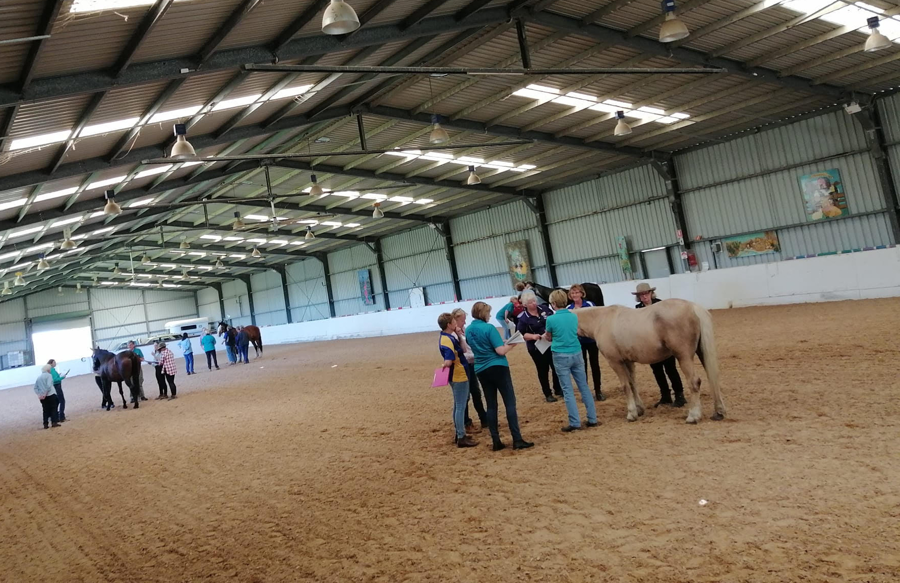 RDA (NSW) Coaching – Riding for the Disabled Association (NSW)
