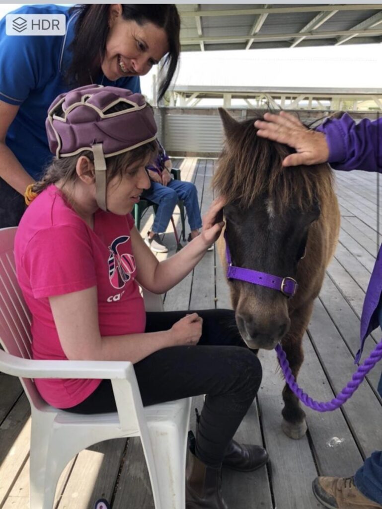 Our Horses – Riding for the Disabled Association (NSW)