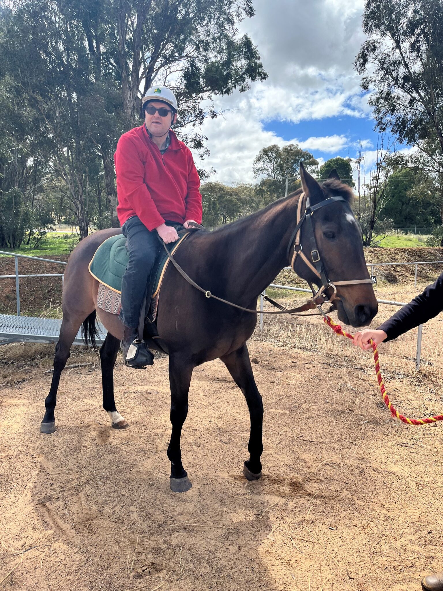 Benefits of riding – Riding for the Disabled Association (NSW)