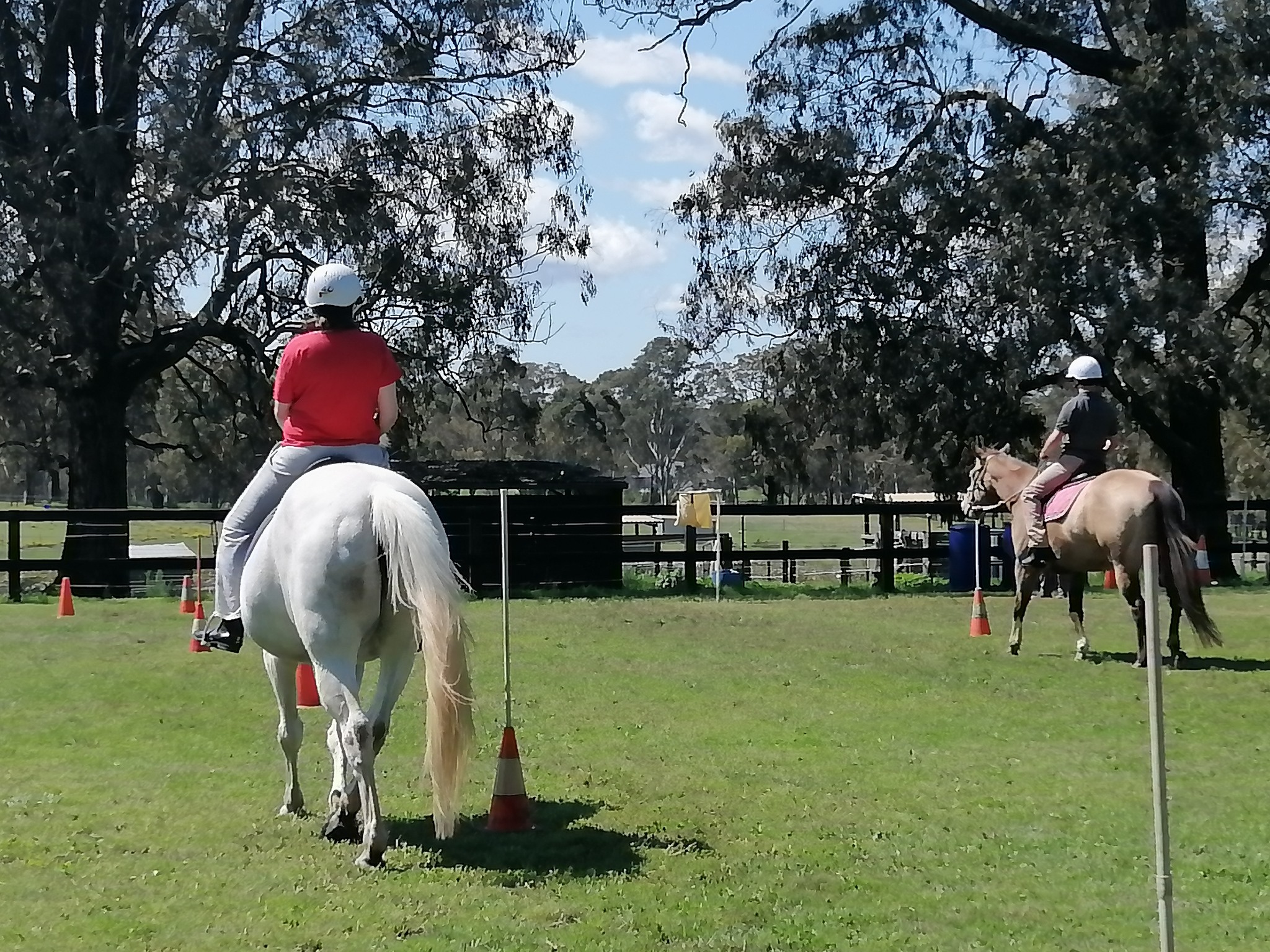 Mounted Games – Riding for the Disabled Association (NSW)